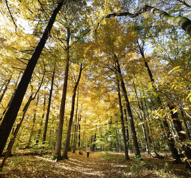 Aman Park Trail - Grand Rapids MI, 49503