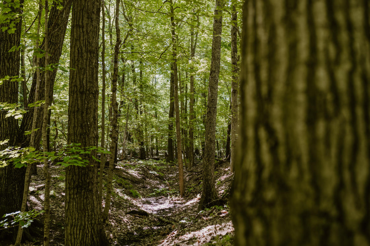 Blandford Nature Center - Grand Rapids MI, 49504