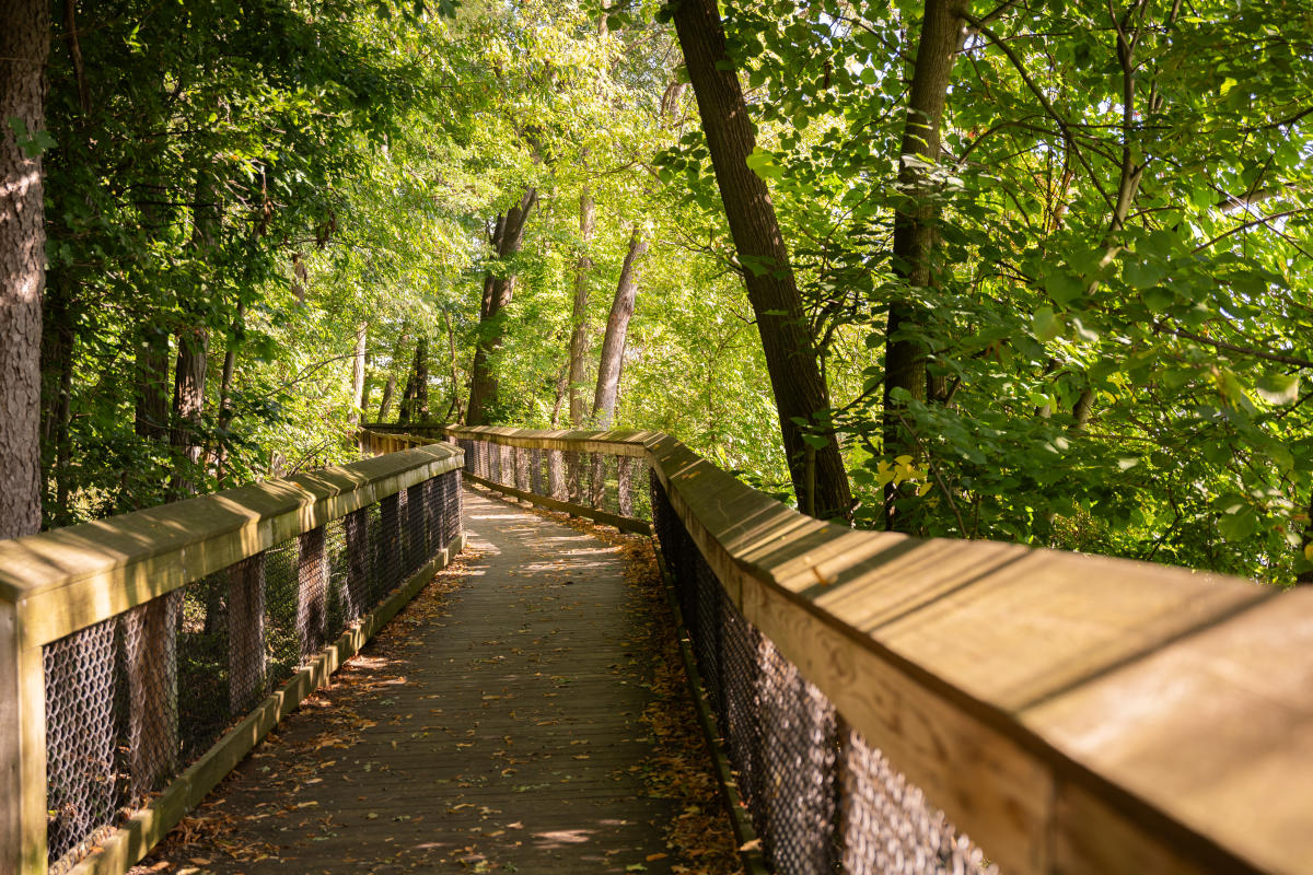 Rogue River Trail - Rockford MI, 49341