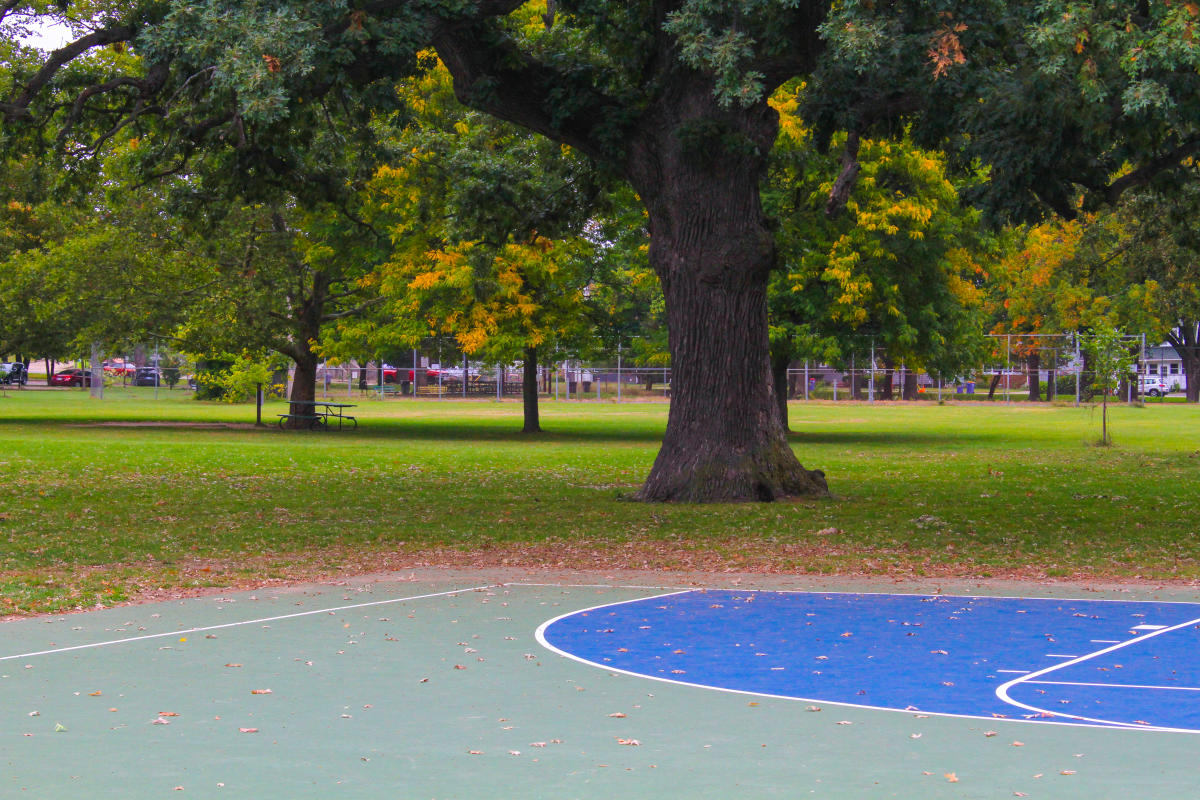 Garfield Park - Grand Rapids MI, 49507