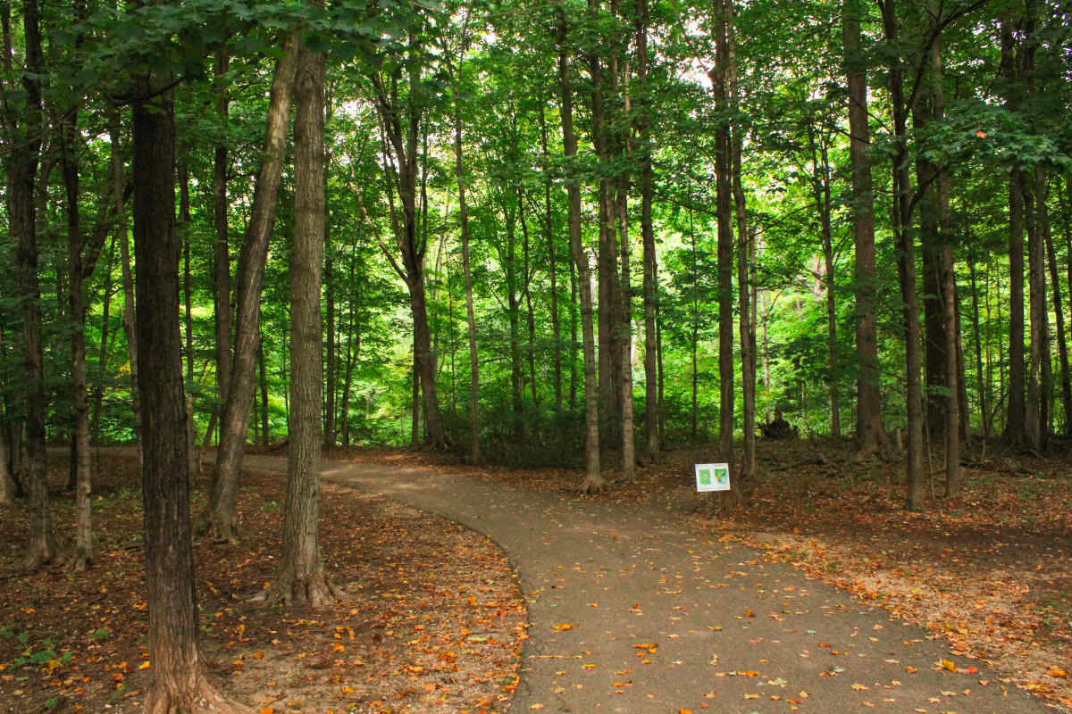 Ken-O-Sha Park - Grand Rapids MI, 49508