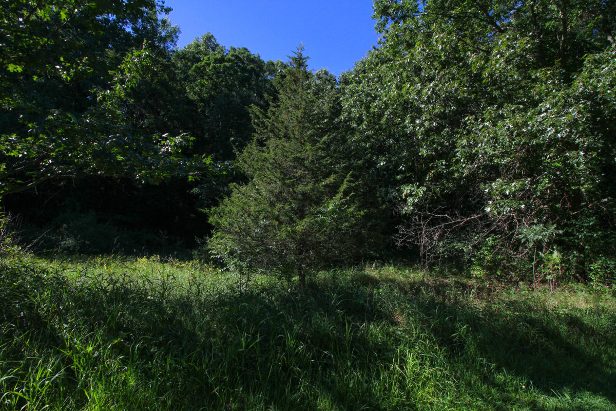 Cascade Peace Park Trail - Ada MI, 49301
