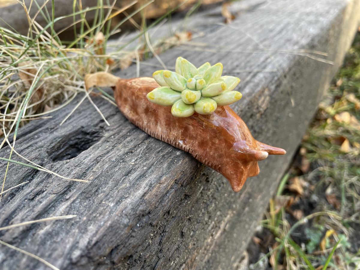 Shelf Slug - Ceramic Sculpture Workshop with Robyn Smith - Grand Rapids ...