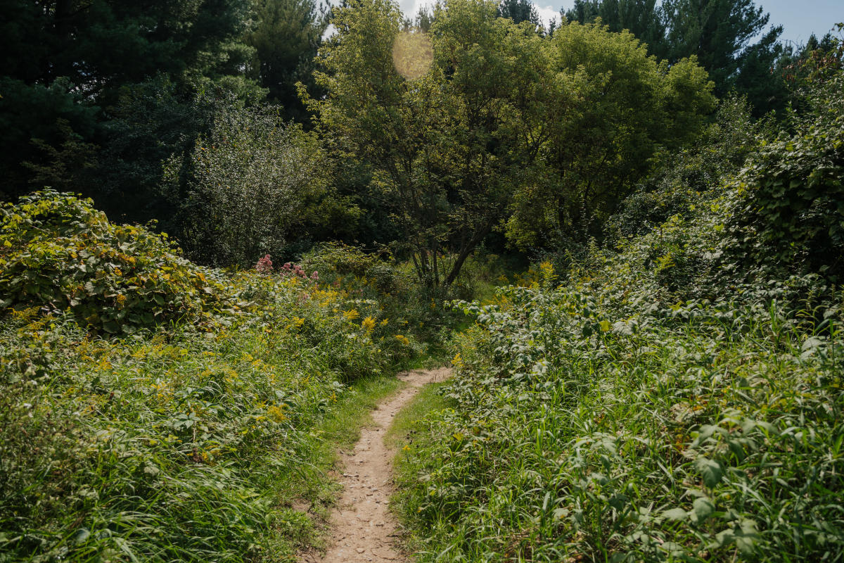 Luton Park Trail - Rockford MI, 49341