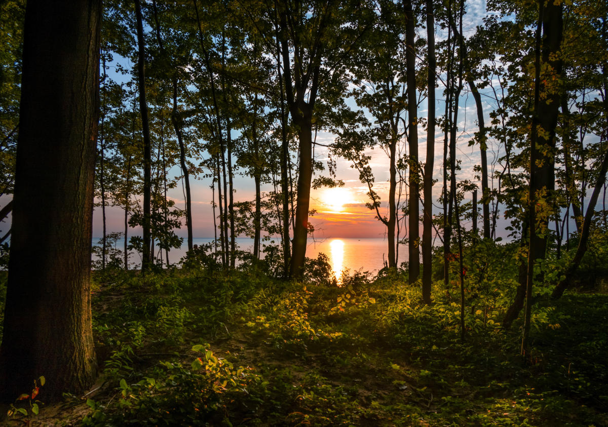 North Point Conservation Area - South Haven MI, 49090