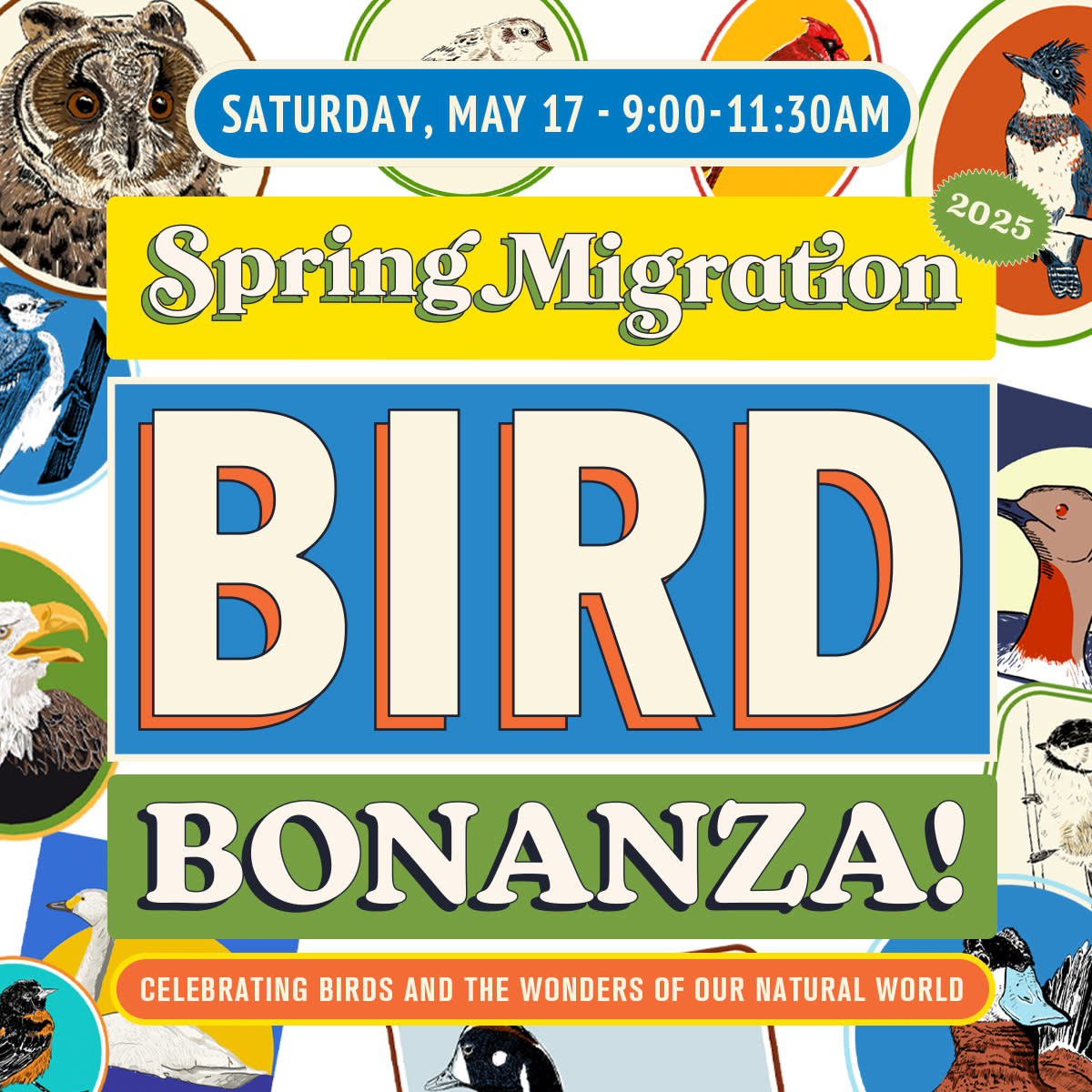 Spring Migration Bird Bonanza - Grand Rapids MI, 49504