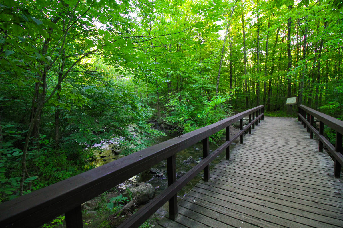 Seidman Park - Ada MI, 49301
