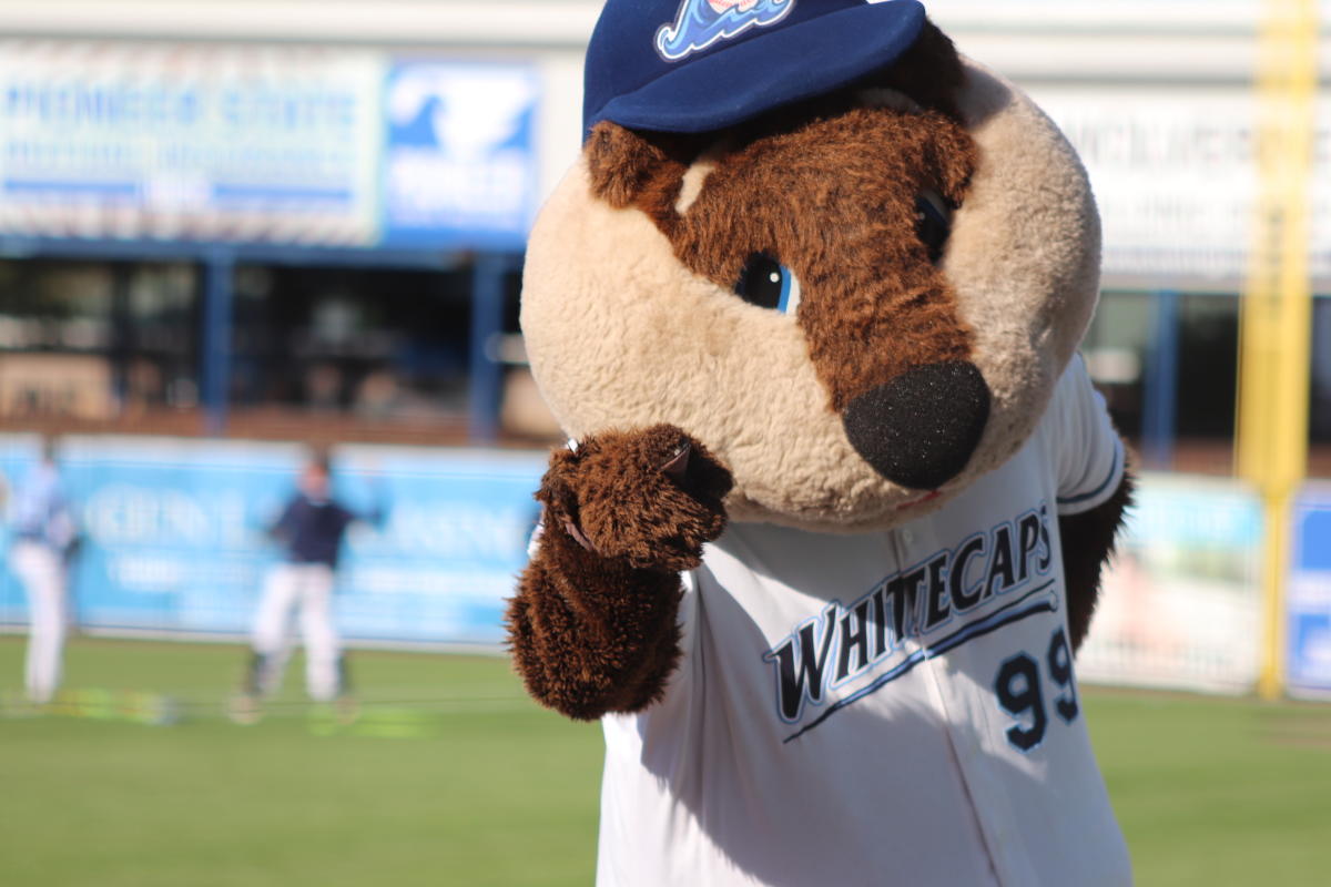LMCU Ballpark - Home of the West Michigan Whitecaps - Comstock Park MI, 49321