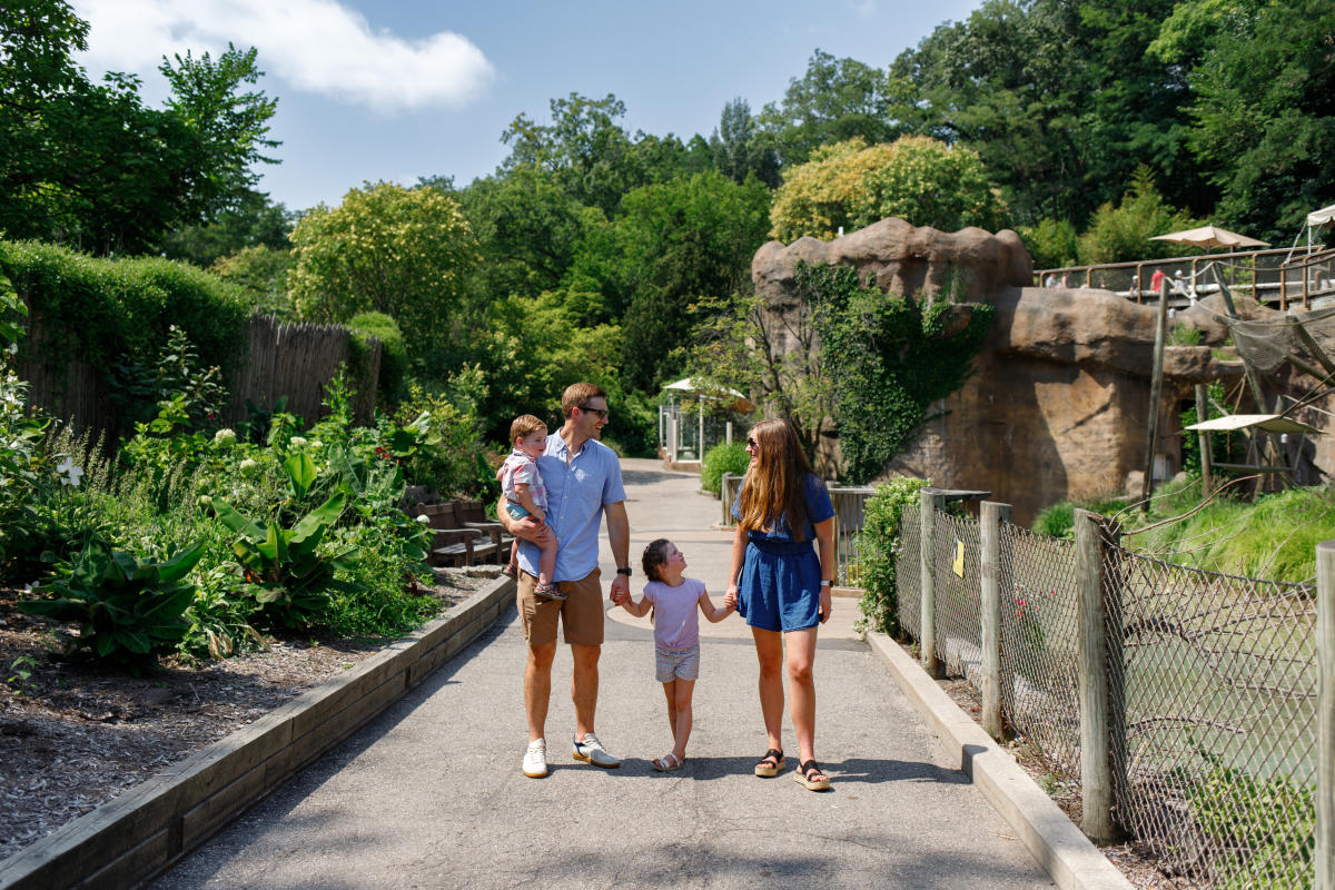 zoo close encounters