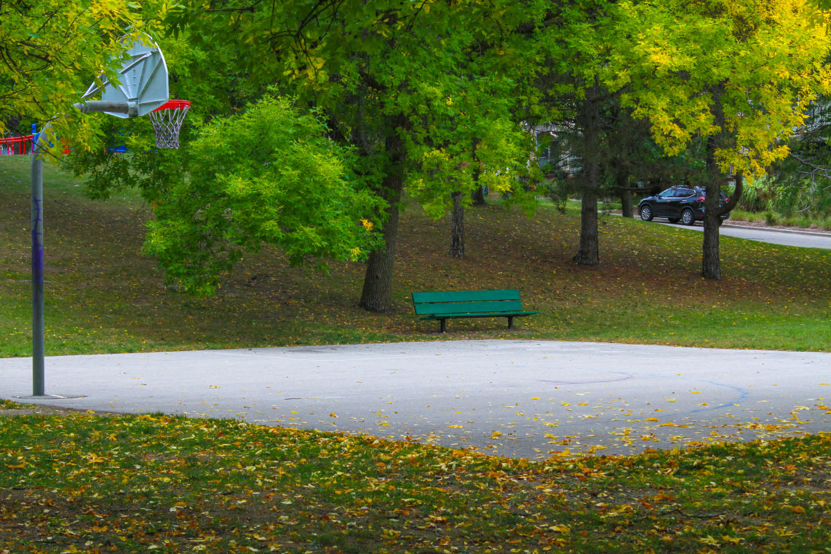 Coit Park - Grand Rapids MI, 49503
