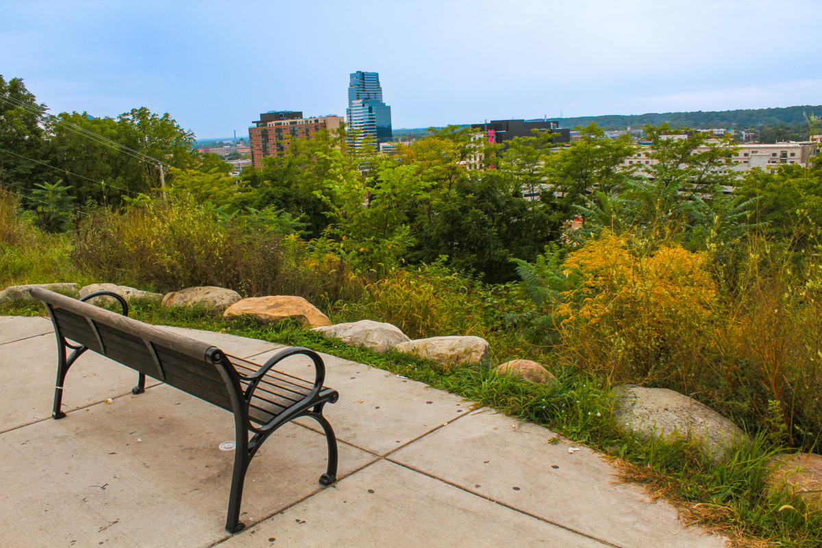 Lookout Park - Grand Rapids MI, 49505