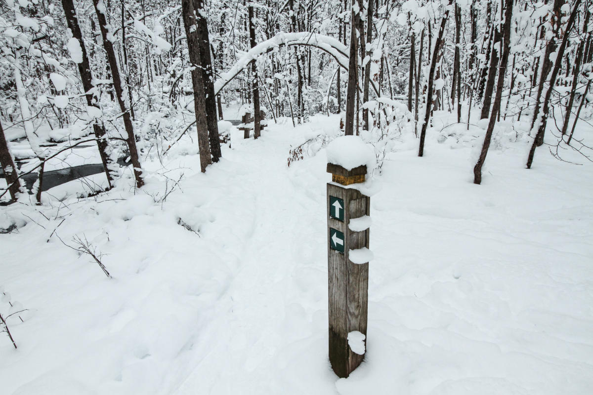 Seidman Park - Ada MI, 49301