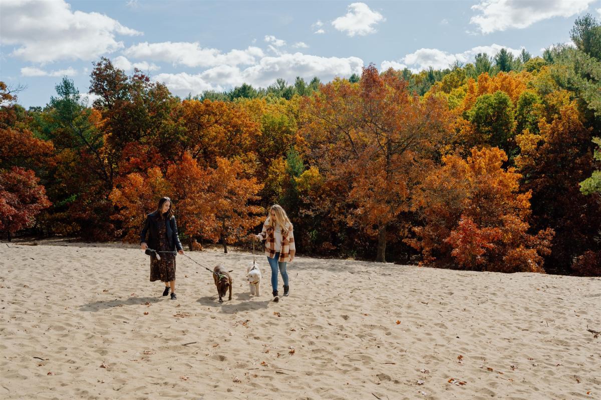 Provin Trails Park - Grand Rapids MI, 49525