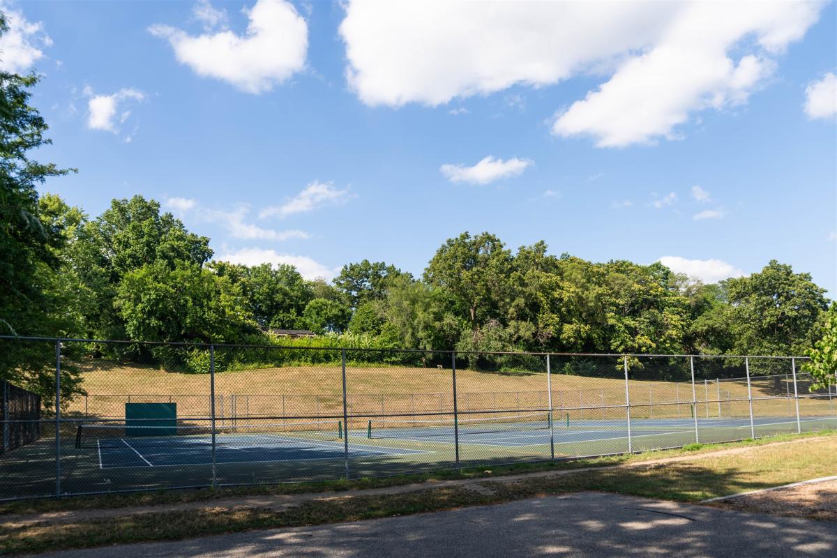 Mulick Park - Grand Rapids MI, 49506