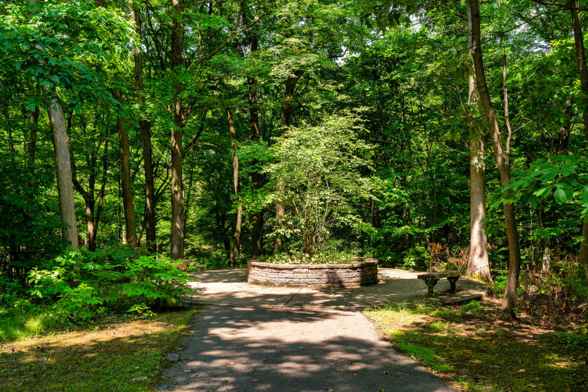 Crahen Valley Park Nature Trail - Grand Rapids MI, 49525
