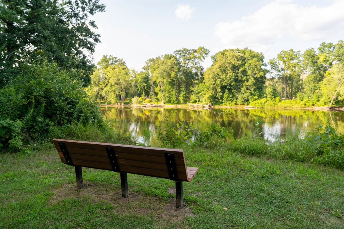 Grand River Nature Area - Ada MI, 49301