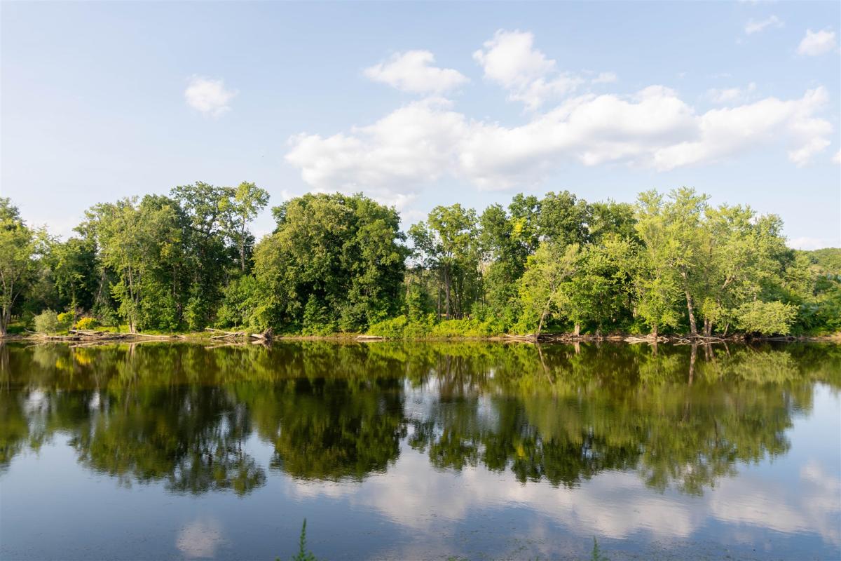 Michael McGraw Park - Ada MI, 49301