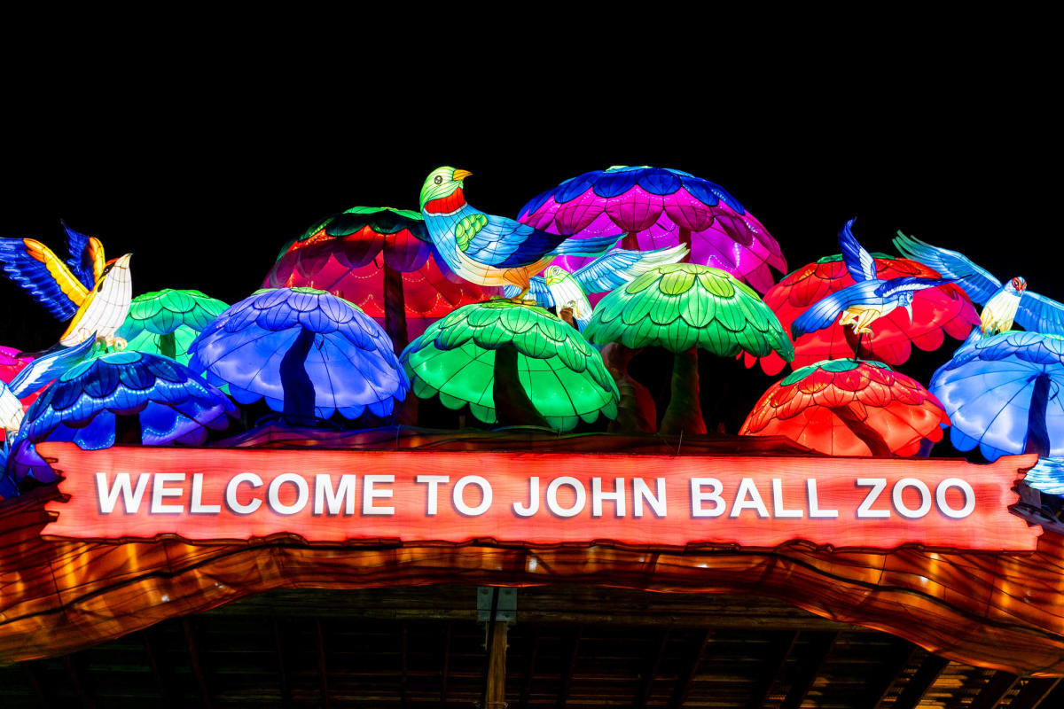 The Grand Rapids Lantern Festival - Grand Rapids MI, 49504