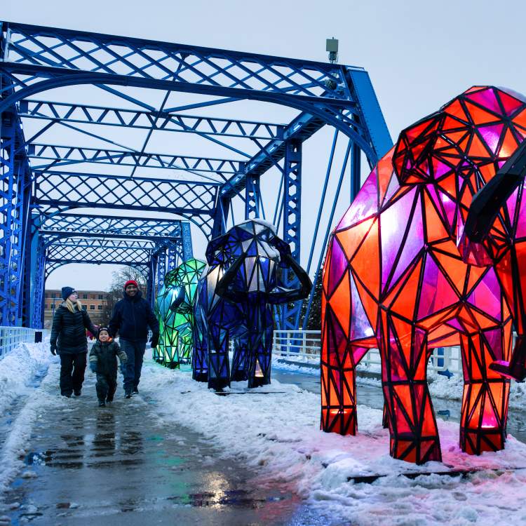 World of Winter Festival in Grand Rapids