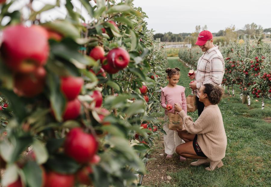fall orchards michigan