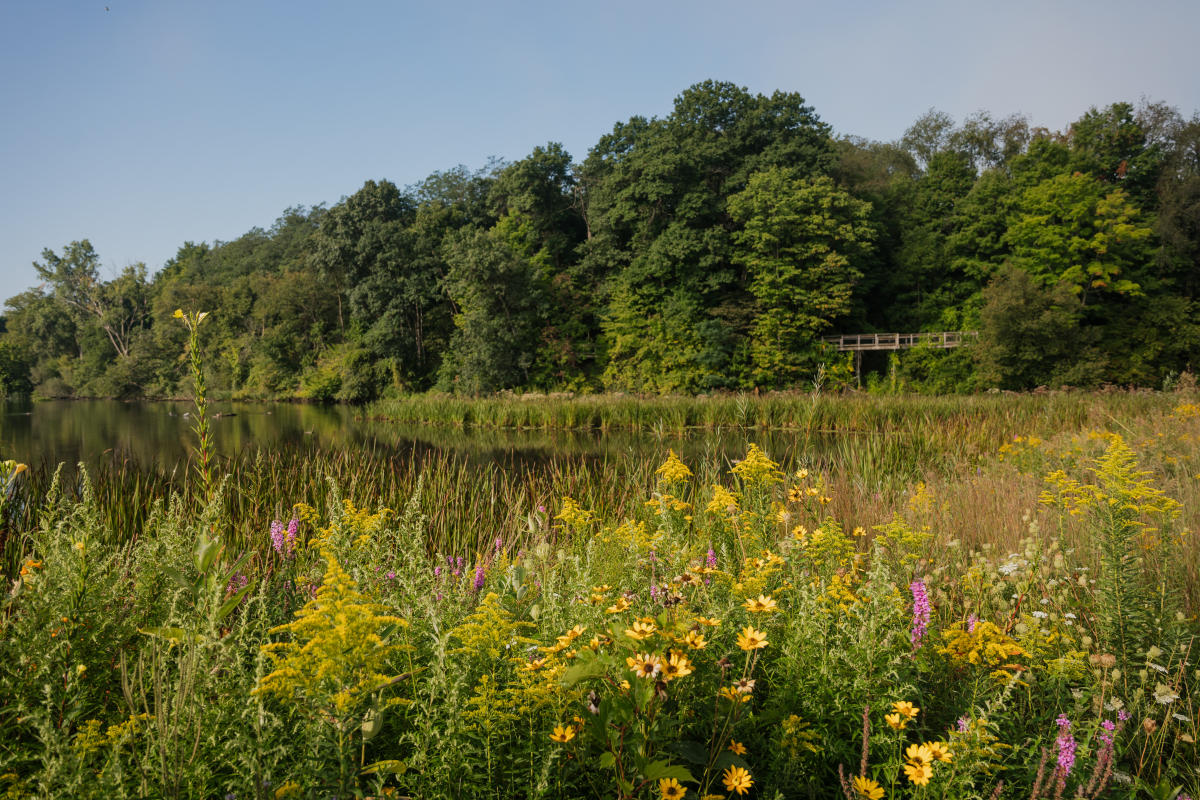 West Michigan Countryside Tours | Grand Rapids Self-Guided Tours