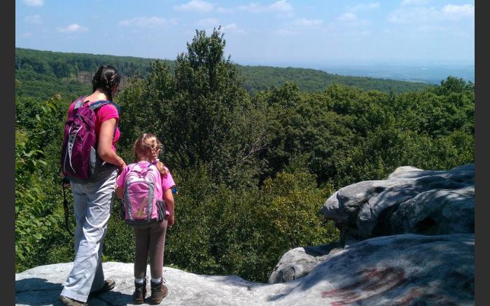 Forbes State Forest