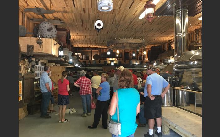 Brantview Farms Maple