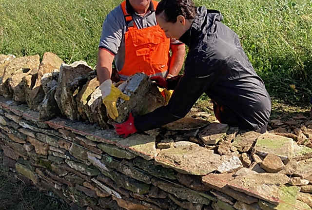 dry stone walling course