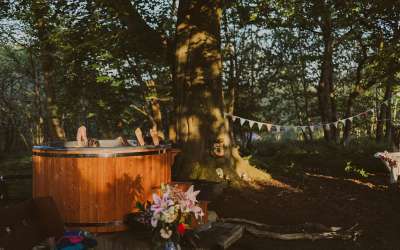 tree trunk trek wakehurst