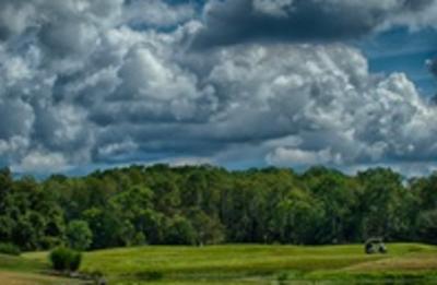 Lansbrook Golf Club in Palm Harbor | VISIT FLORIDA