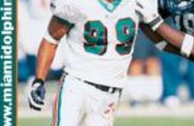 Miami Dolphins in Miami Gardens | VISIT FLORIDA