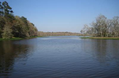 Lake Talquin State Park in Tallahassee | VISIT FLORIDA