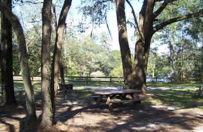 Troy Spring State Park in Branford | VISIT FLORIDA