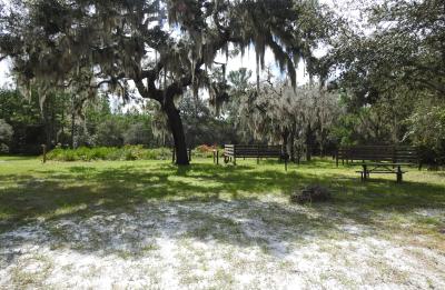 Tiger Bay State Forest in Daytona Beach | VISIT FLORIDA