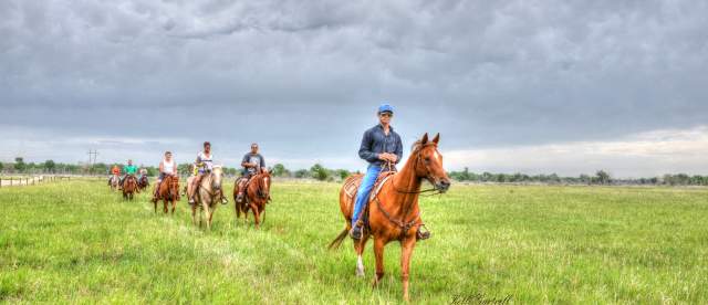 Horseback Riding & Trail Rides