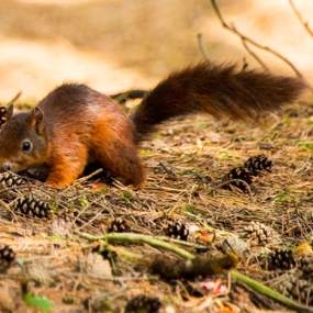 Liverpool City Region Interactive Map