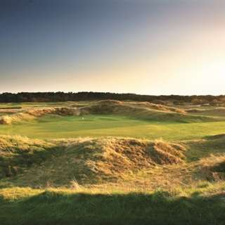 restricted forest 2026