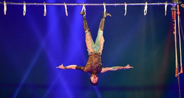 common circus opening hours