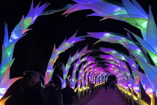 Plan your New Year's Eve Celebrations in Manchester