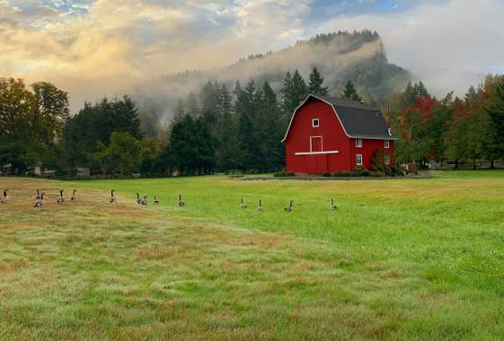 History, Museums & Culture | Eugene, Cascades & Oregon Coast