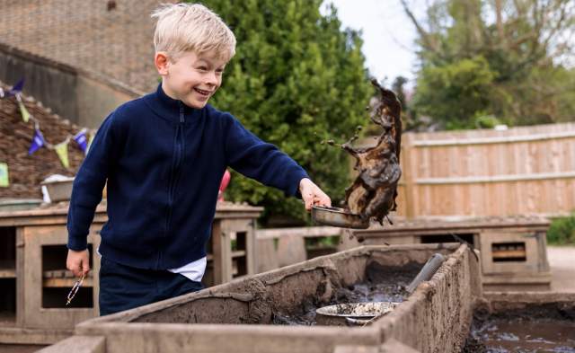tree trunk trek wakehurst