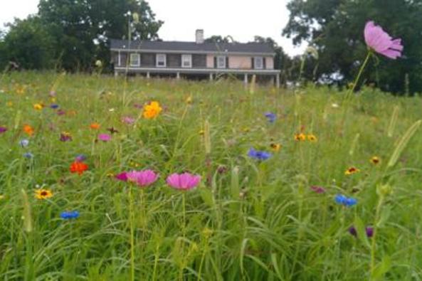 Banshee Reeks Nature Preserve | Leesburg, VA 20175
