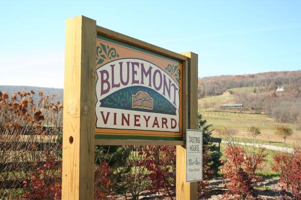 Bluemont Vineyard | Bluemont, VA 20135