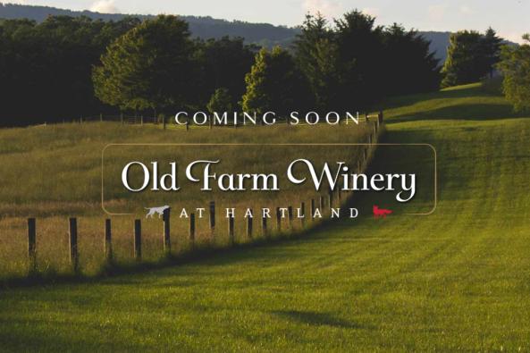 Old Farm Winery at Hartland | Aldie, VA 20105