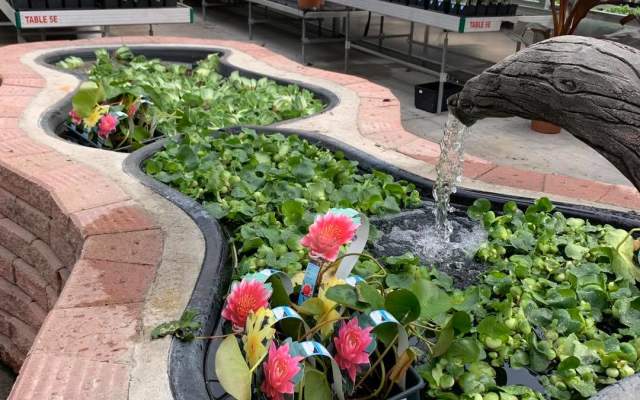 Parran's Greenhouse and Farm Market