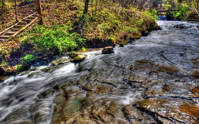 Saunders Springs Nature Preserve | Elizabethtown, Kentucky