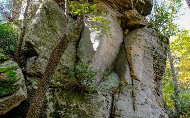 Amburgey Rock