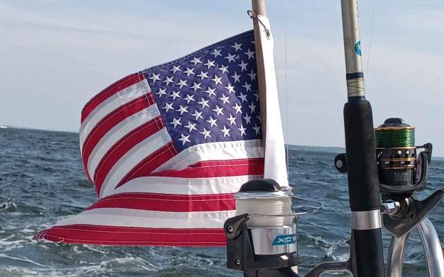 CAPTAIN COOK CHARTERS