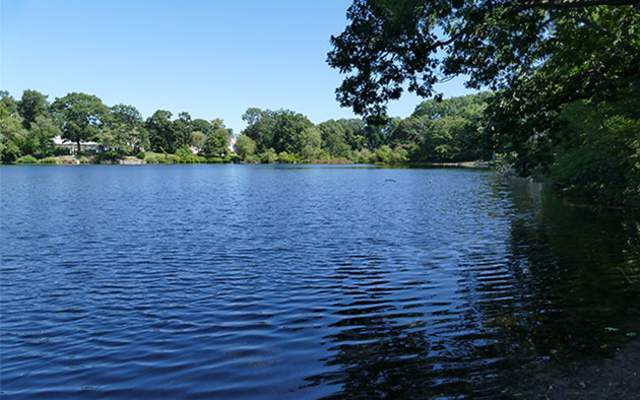 SAND POND