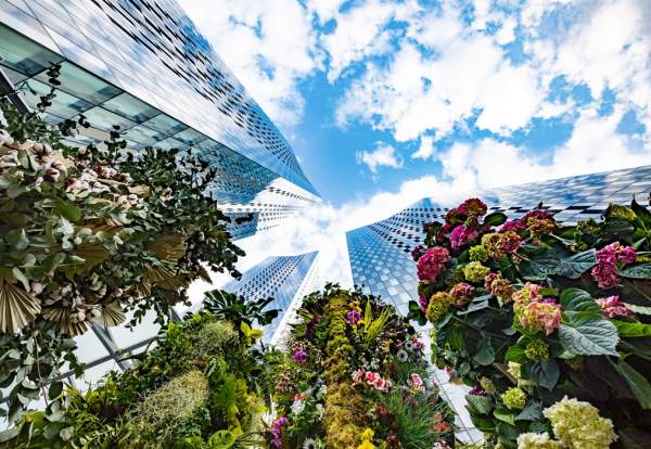 The Manchester Flower Festival